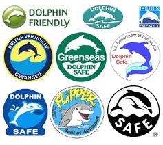 Shark Diver : Shark Diving : Swimming With Sharks: Dolphin-safe tuna ...