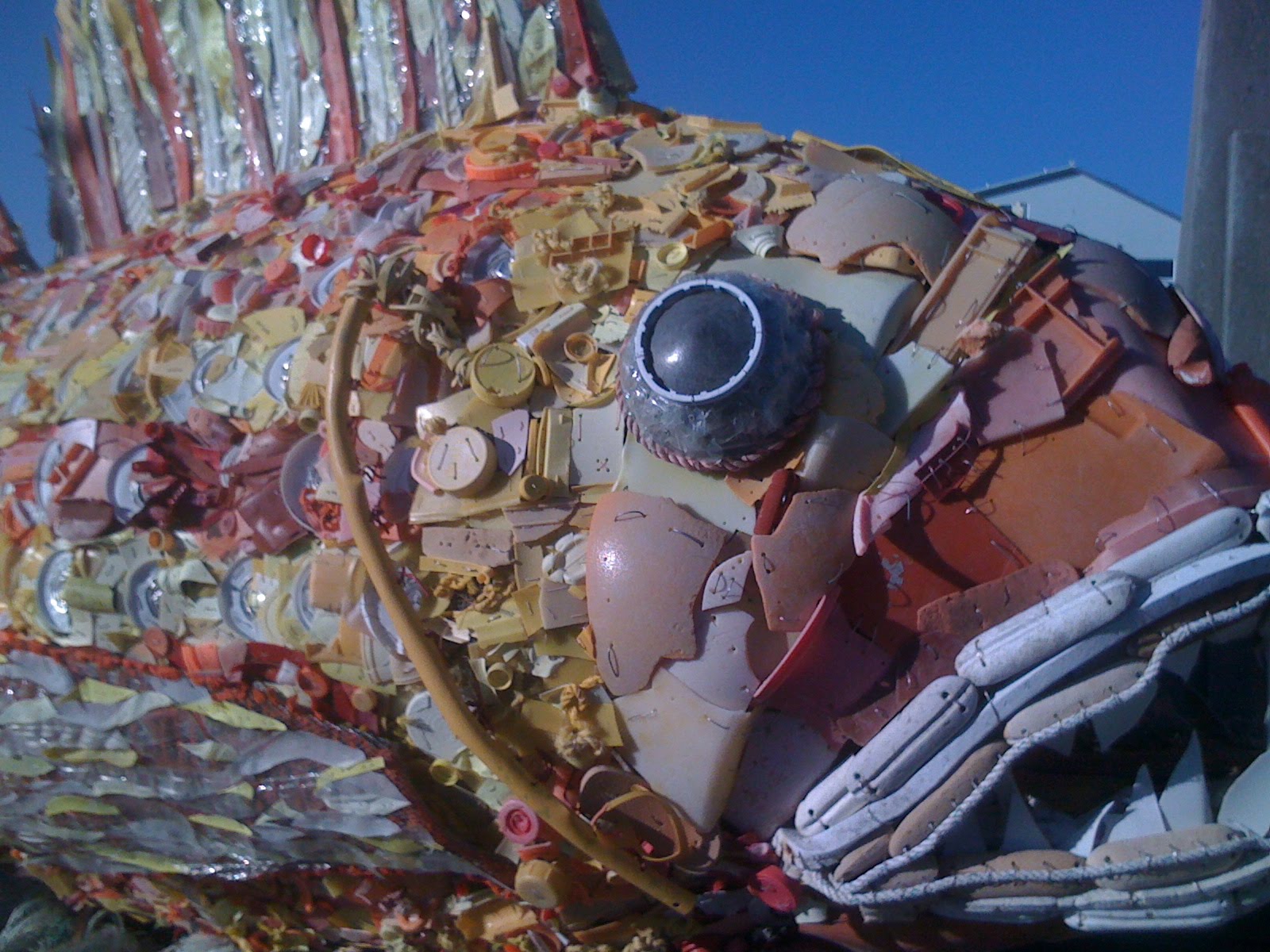 Shark Diver : Shark Diving : Swimming With Sharks: Angela Pozzi - Ocean ...