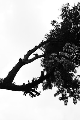 The Philippines, Technology, Internet, Philippine Basketball, Business ...