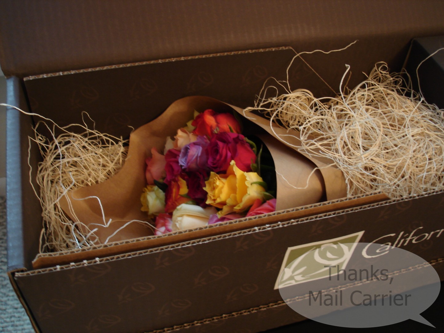 Thanks, Mail Carrier | California Blooms {Review} The Freshest Boutique ...