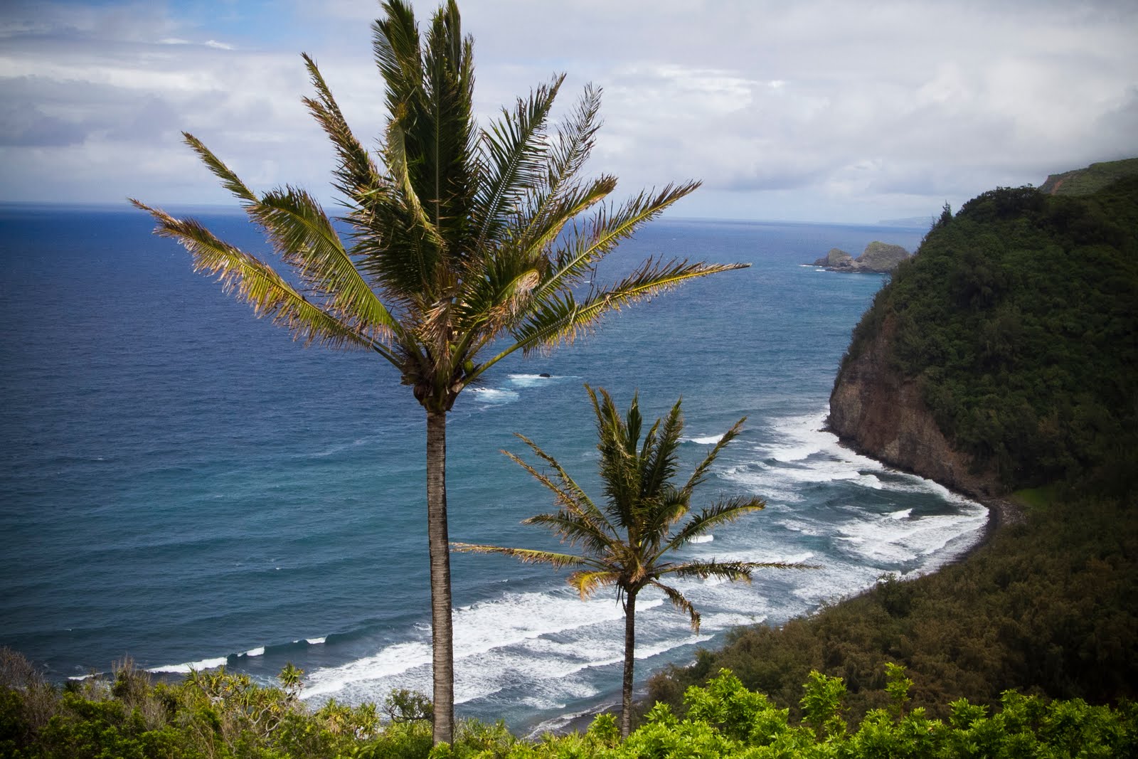 love. prevails: Makapala!
