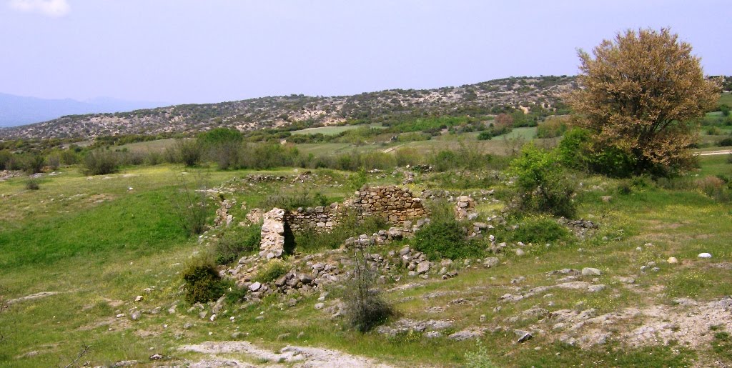 ΔΟΥΜΠΙΑ ΧΑΛΚΙΔΙΚΗΣ MACEDONIA GREECE: Κιζιλί (Παρθένιο) Θεσσαλονίκης ένα ...