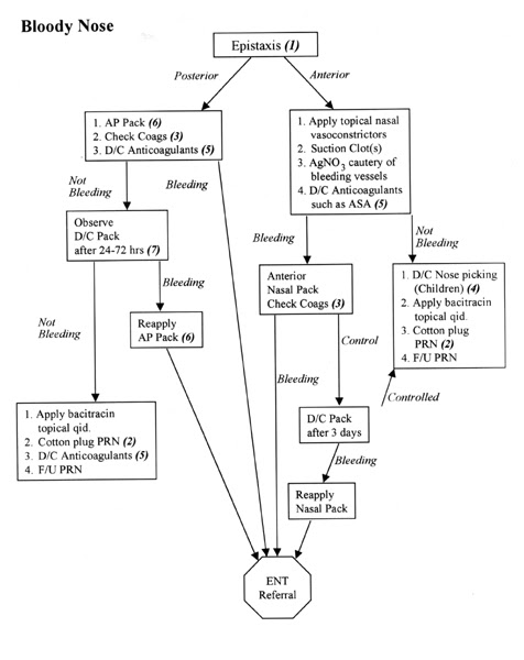 Doctors Gates Algorithm For The Diagnosis And Treatment Of Epistaxis