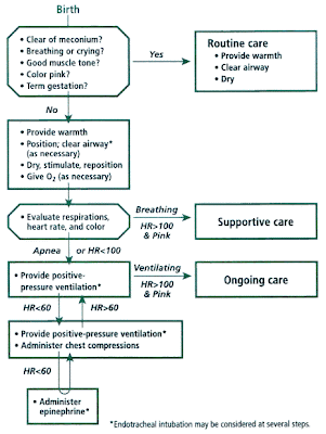 Doctors Gates: Algorithm for neonatal resuscitation