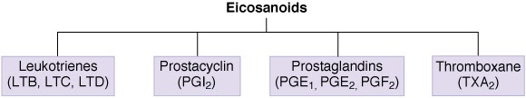 Doctors Gates: Synthesis of eicosanoid autacoids