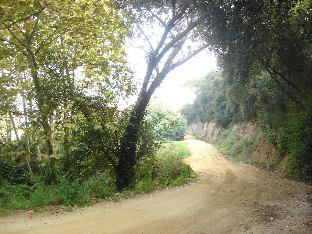 MOUNTAIN PREDI: Iniciándome en los Corriols (Font Gurgui)