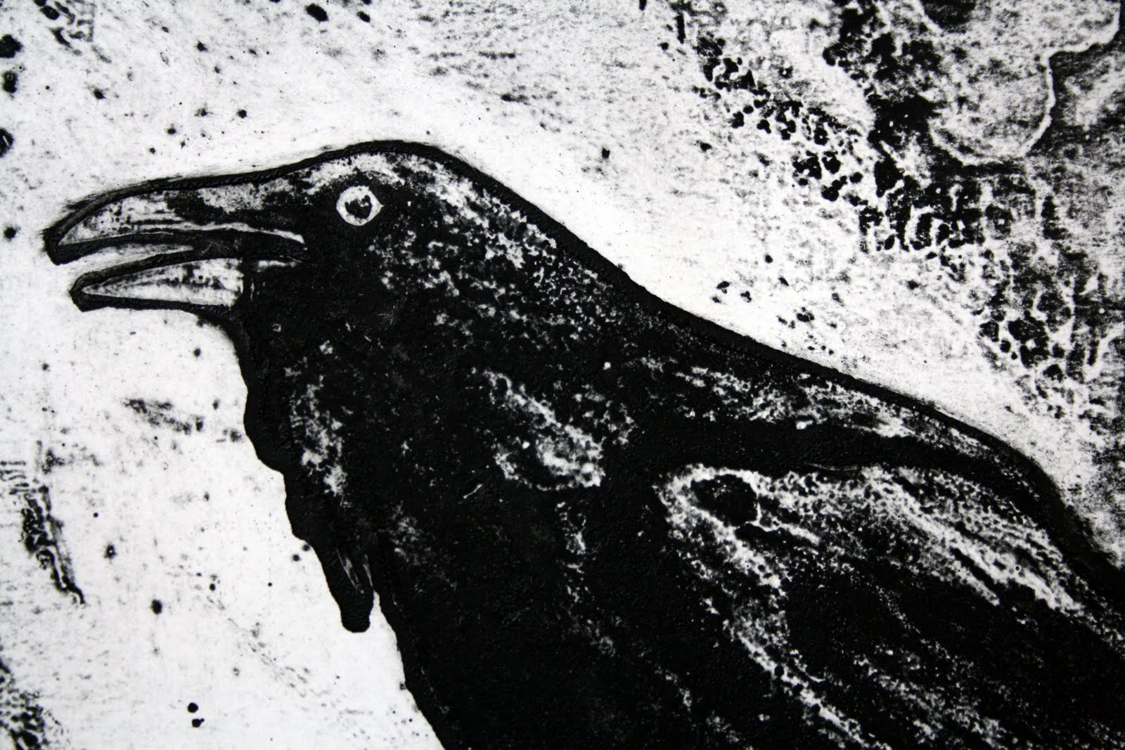 Sue Brown Printmaker: COLLAGRAPH EXPERIMENT