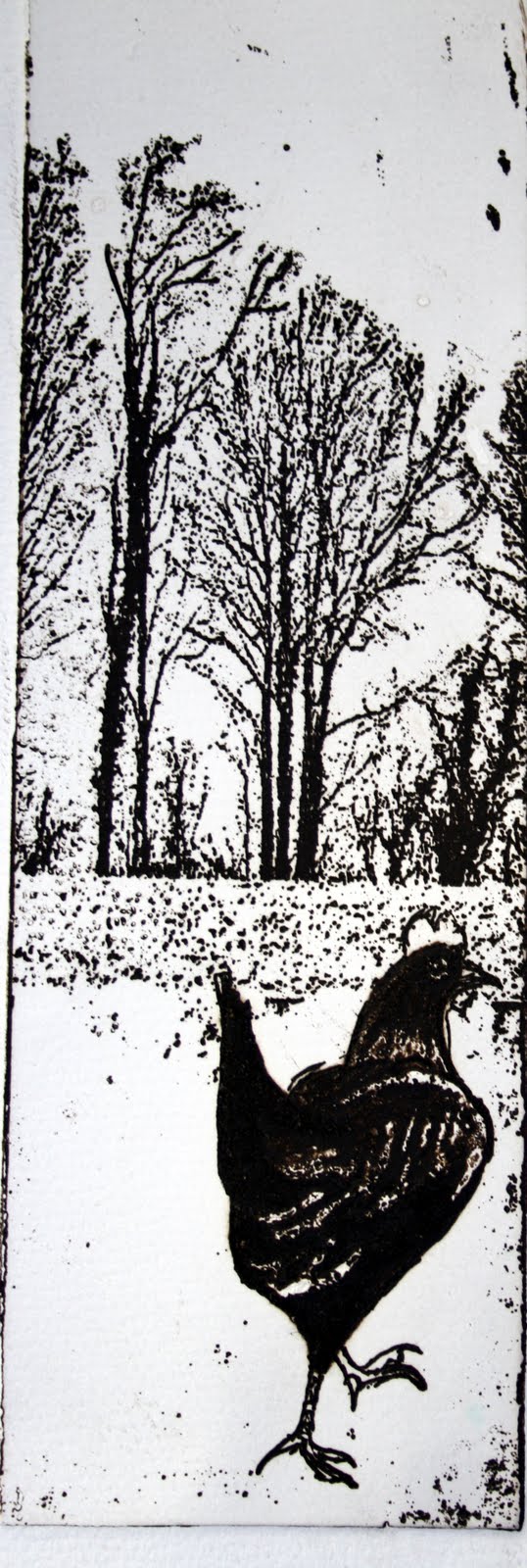 Sue Brown Printmaker: A RUMMAGE THROUGH MY DRAWERS!