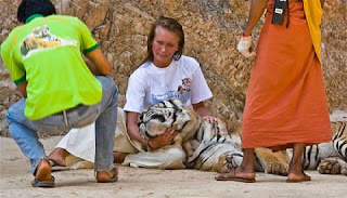 Narayani's Good News: People helping tigers.