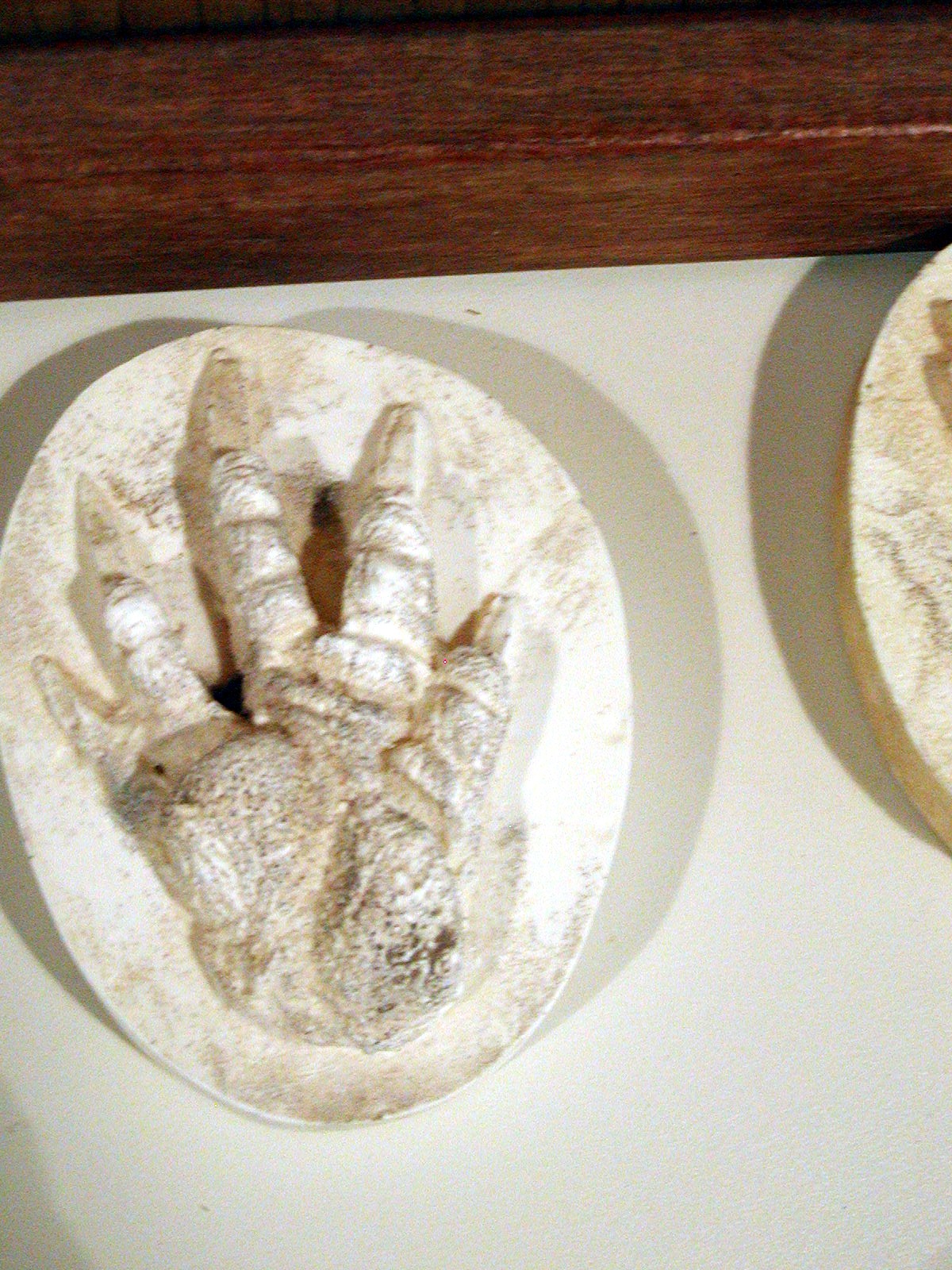 Lagniappe-A Little Something Extra: DISCOVER LOUISIANA - POVERTY POINT ...