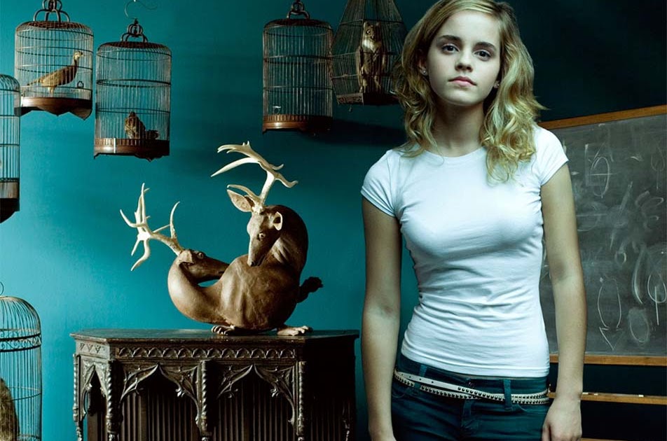 EMMA WATSON AGREES TO HARRY POTTER