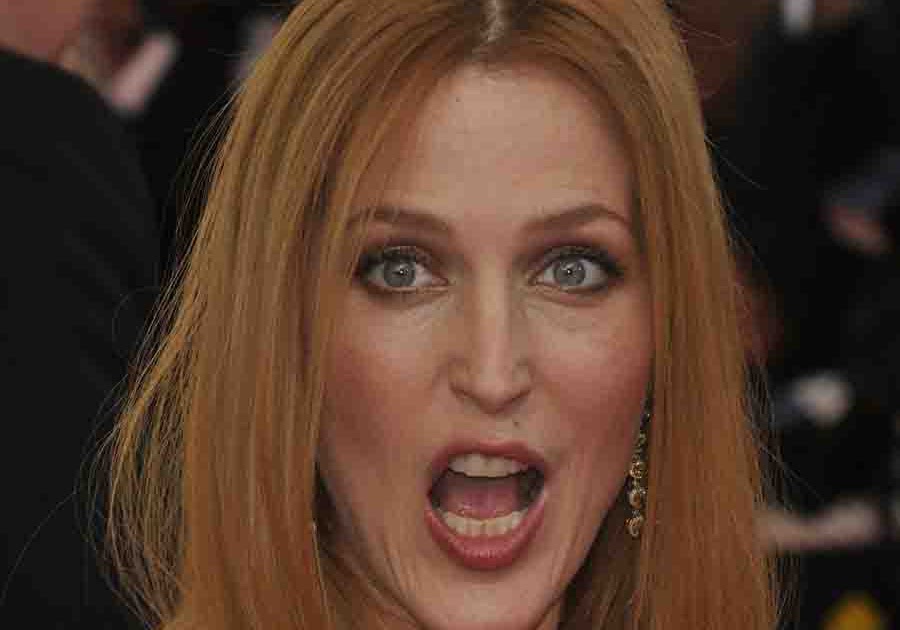 GILLIAN ANDERSON GETS HER DREAM ROLE