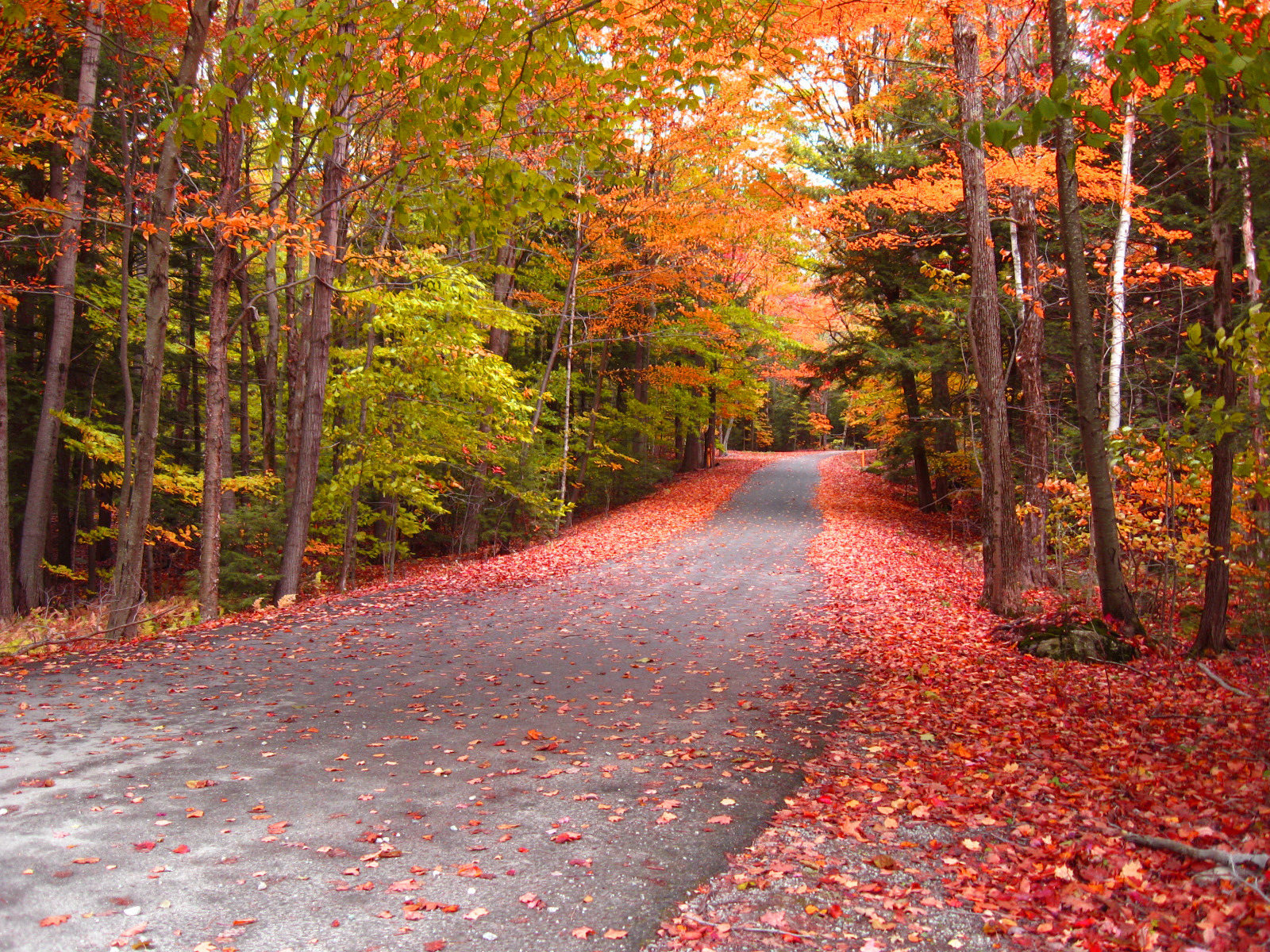 Mums Diaries: Hello Autumn!