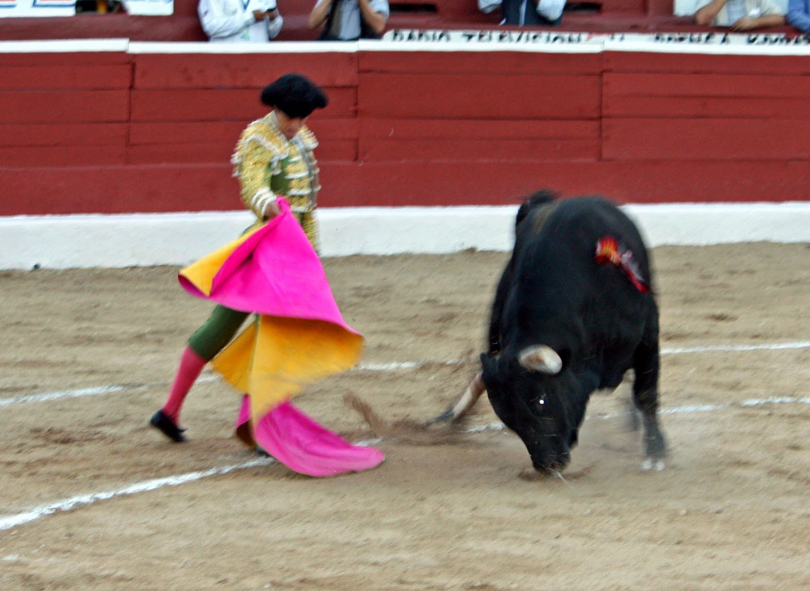 Deb and Ed Full Steam Ahead!!: The Bull Fight