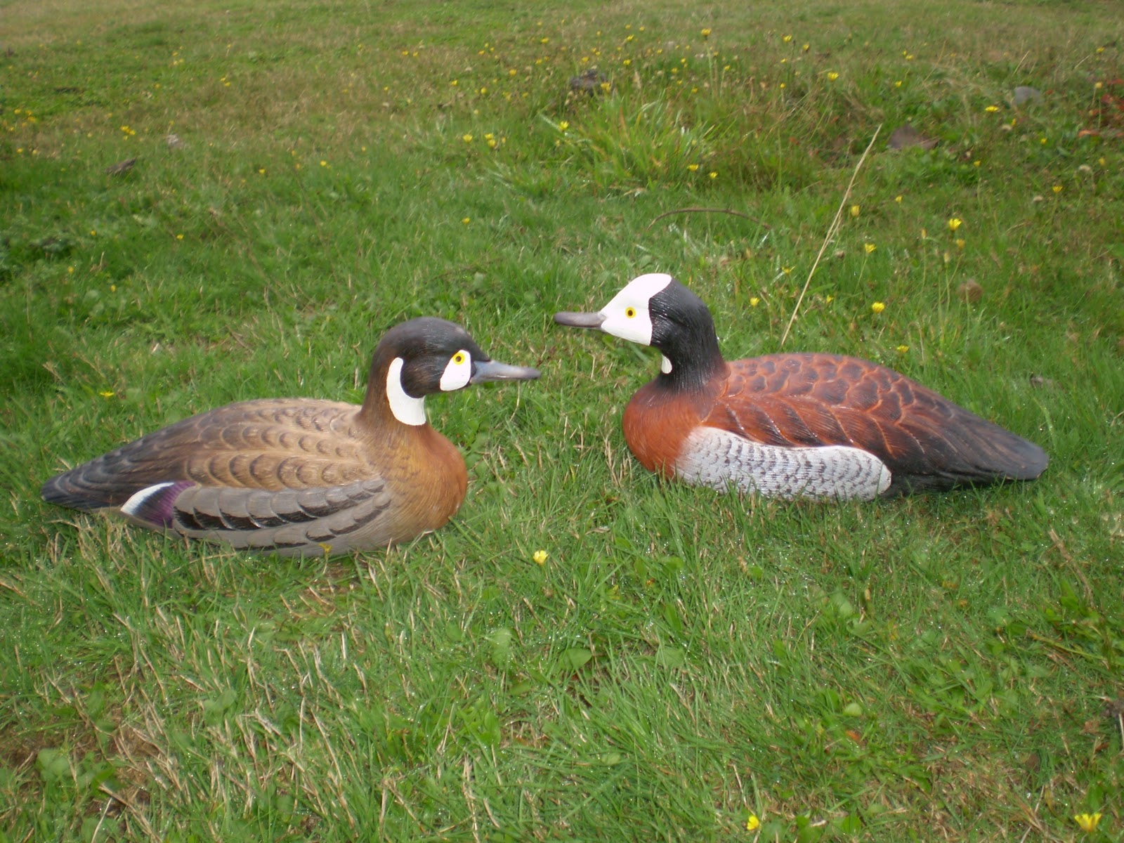 TALLADOS HERRERA: Patos