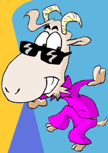 Animal typing site - sekatopia