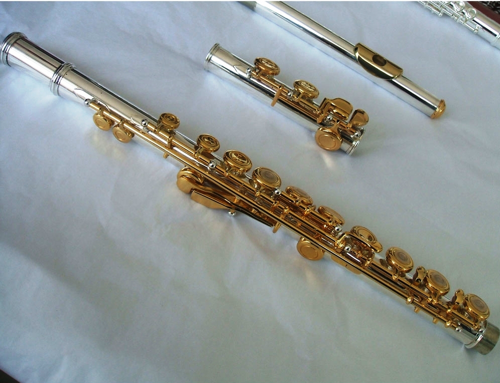 RBS - Instrumentos Musicais: Flauta Transversal FL102SG