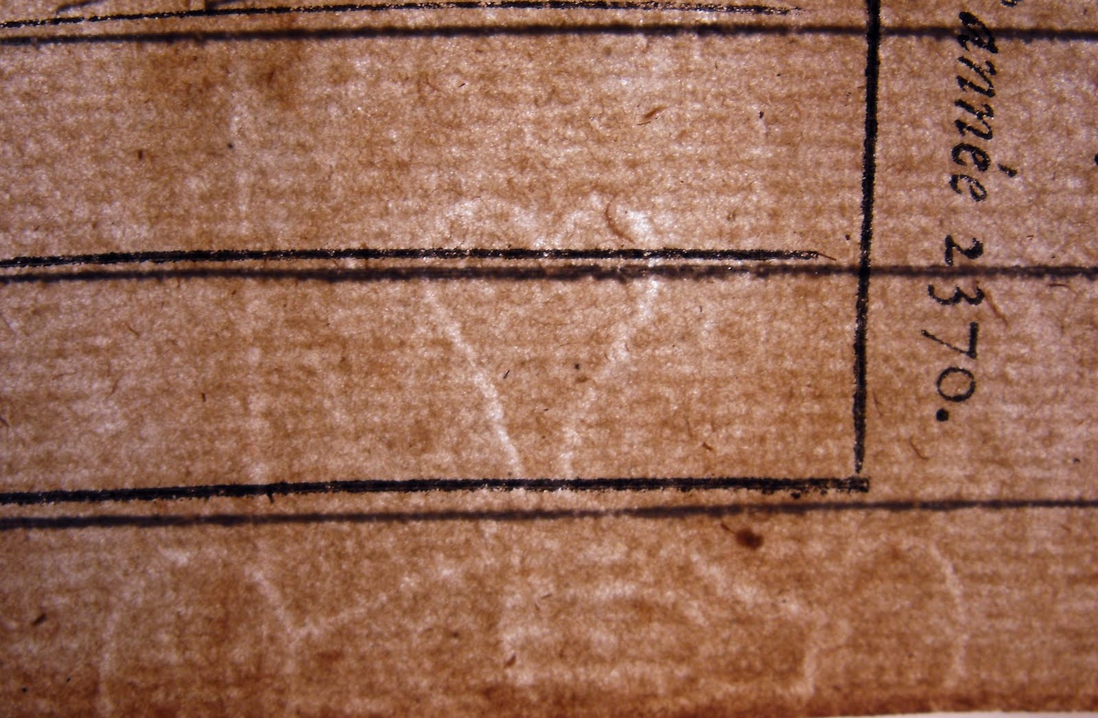 Le Bibliomane Moderne : Bibliophilie et autres Bibliomanies ...: Les ...