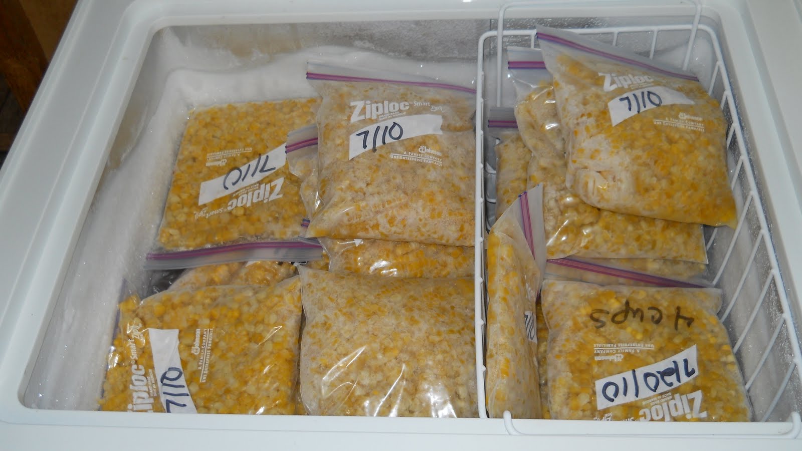 Extraordinary Ordinary Life: Corn, Corn, Everywhere Corn