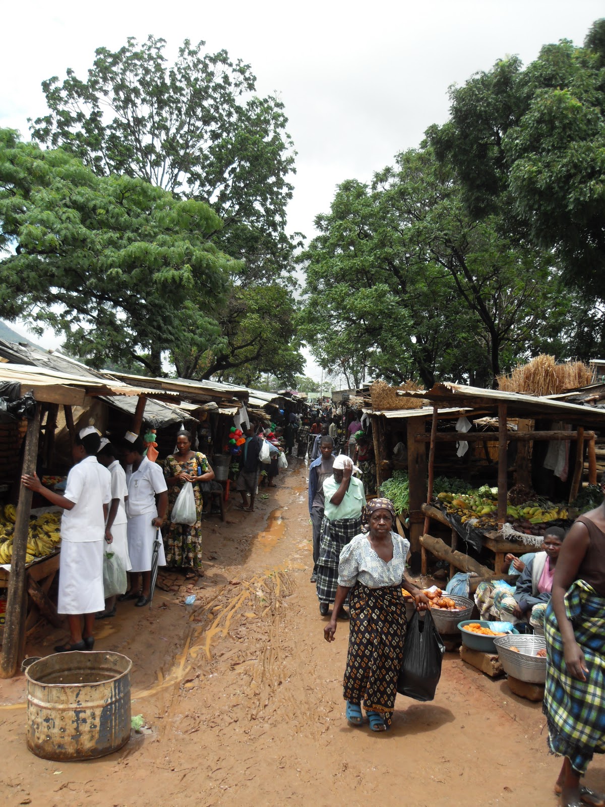 Malawi experience: Ntcheu