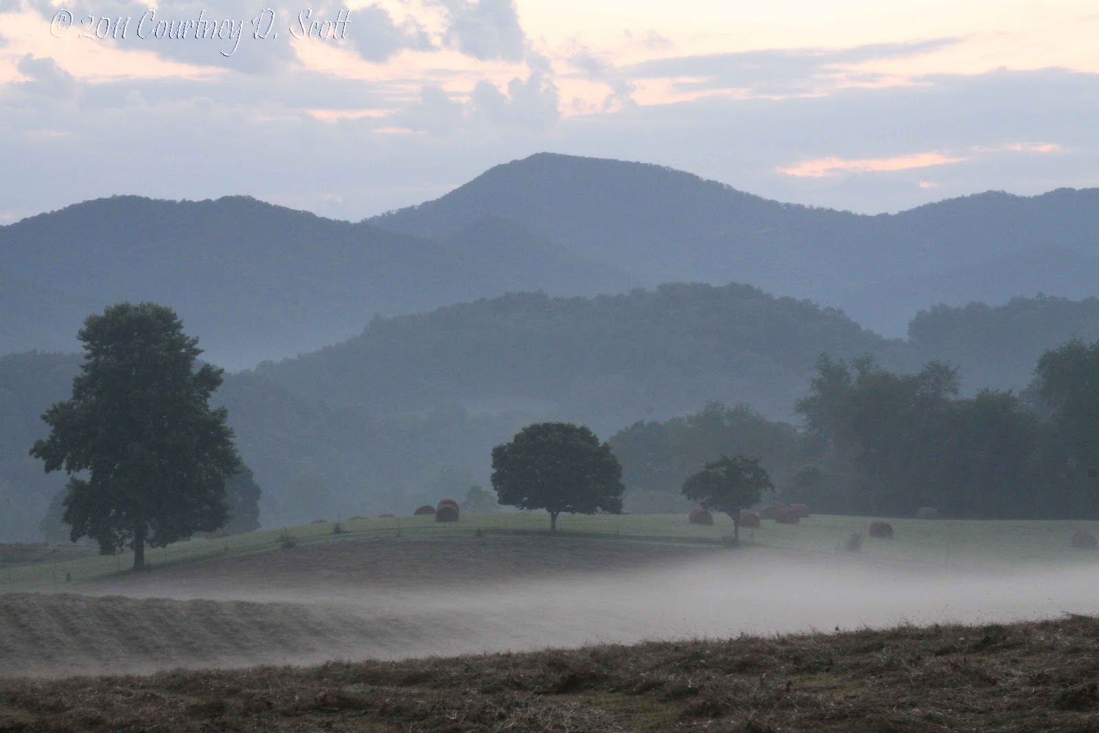 CDScott Photography: Images Au Naturale
