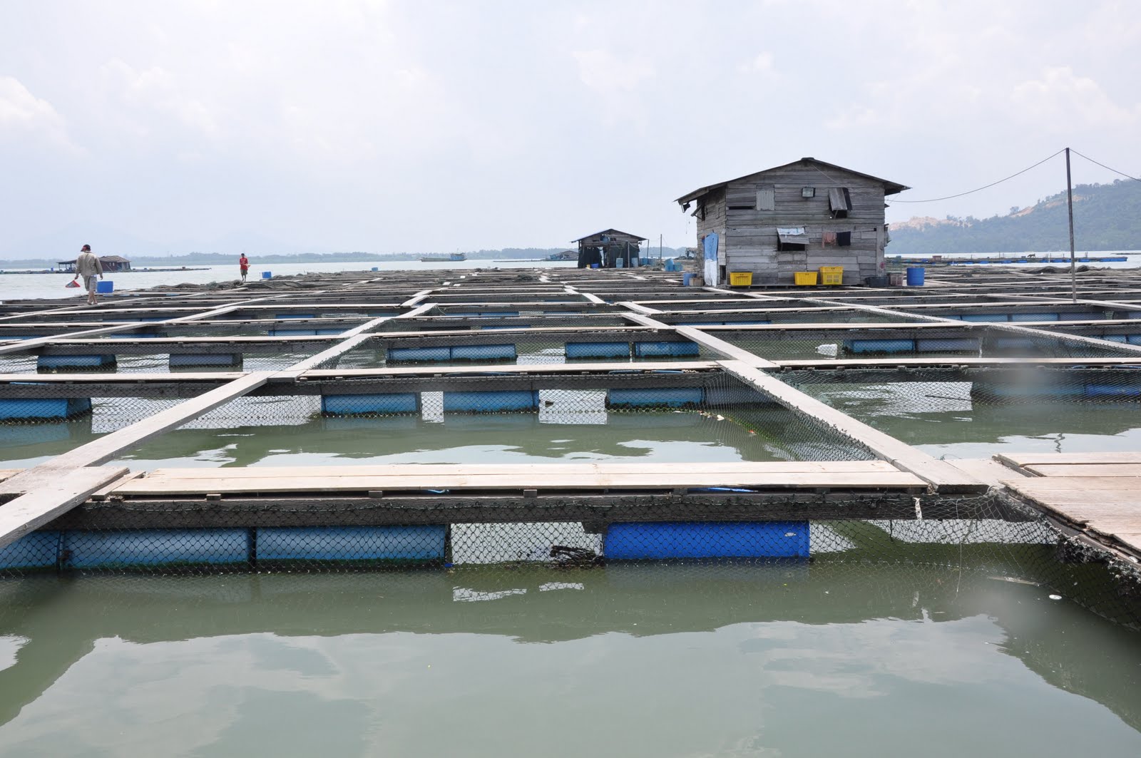 Landscape2u: Fish Cage