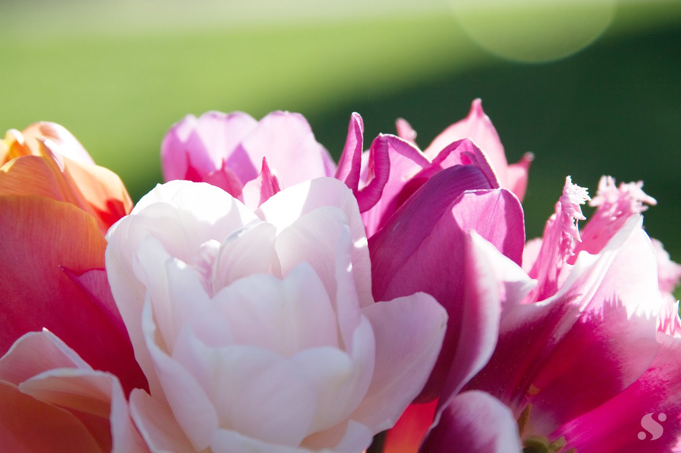 free wallpicz: 8 Bit Desktop Wallpaper