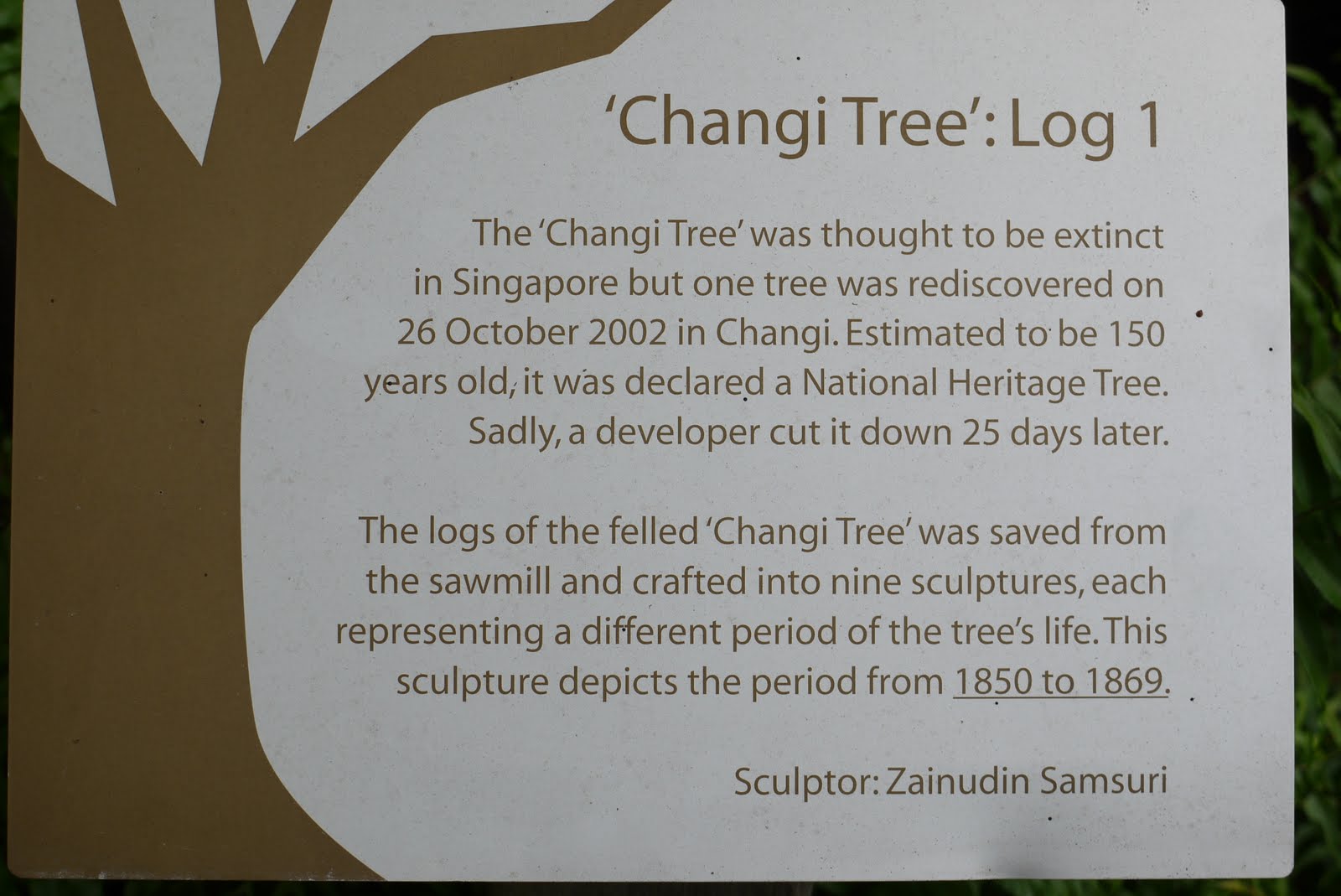 Sawpo's: Changi Tree @ Singapore Zoo
