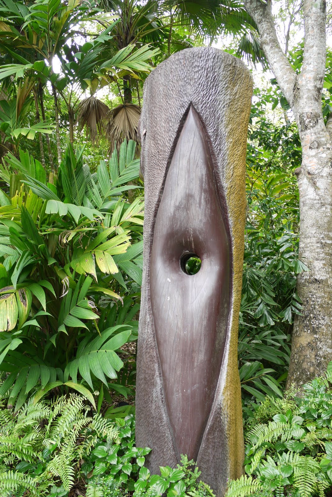 Sawpo's: Changi Tree @ Singapore Zoo