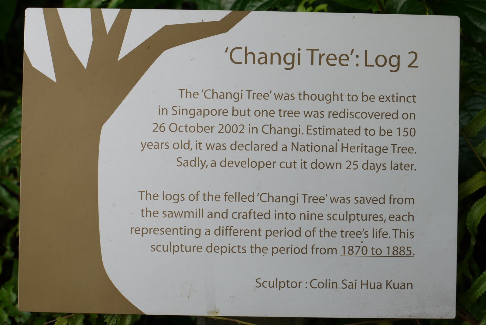 Sawpo's: Changi Tree @ Singapore Zoo