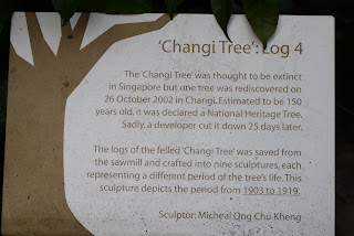 Sawpo's: Changi Tree @ Singapore Zoo