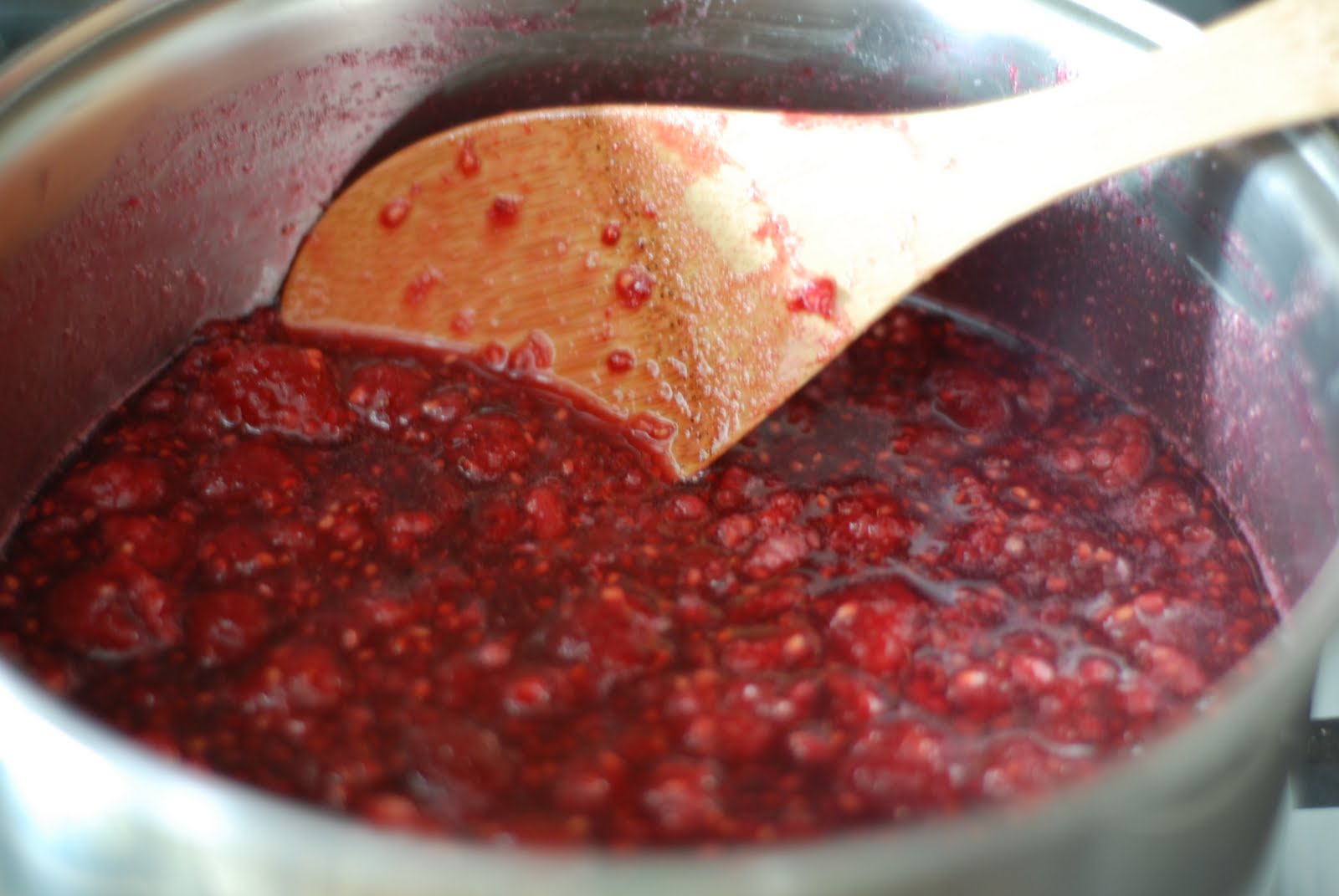 Dizzy Girl Bakes: Raspberry cordial