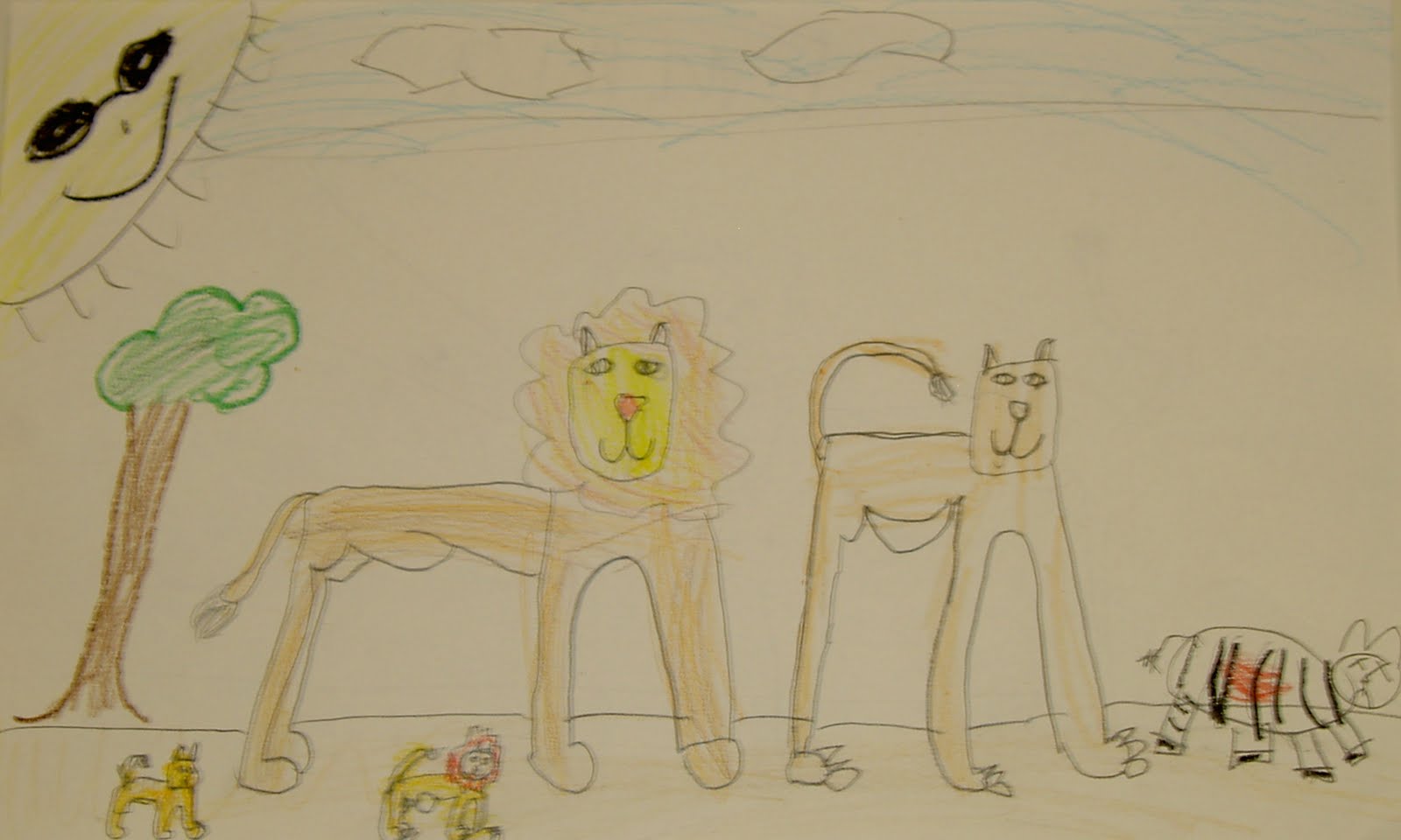 Hands, Head 'n Heart in the Artroom: Assessment Drawings