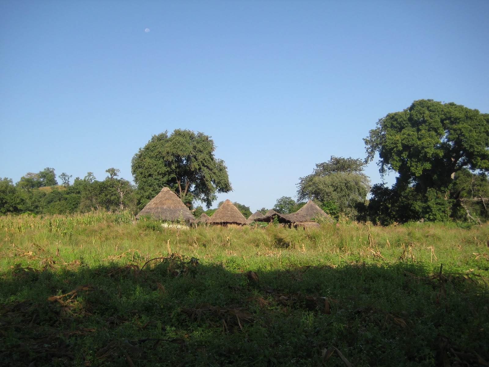 El Mundo con la Mochila al Hombro: KEDOUGOU - PAIS BASSARI - PAIS ...