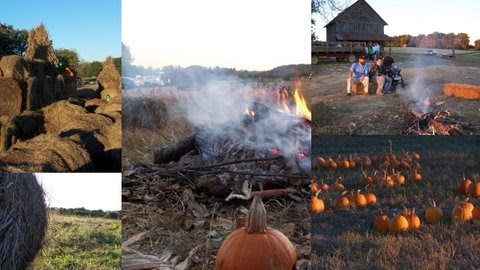 Mount Airy Journal: The Pumpkin Patch 2010