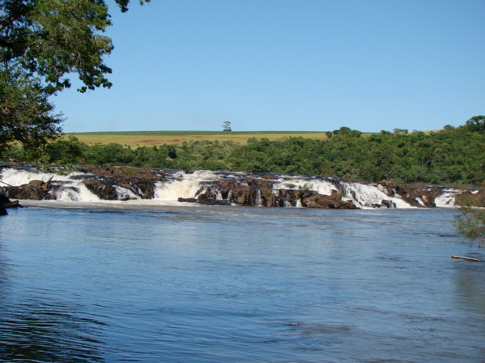 PESCA E DICAS: rio ivai