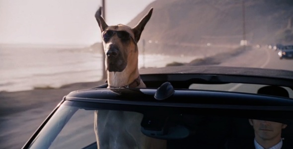 Outhouse of Horror: Marmaduke