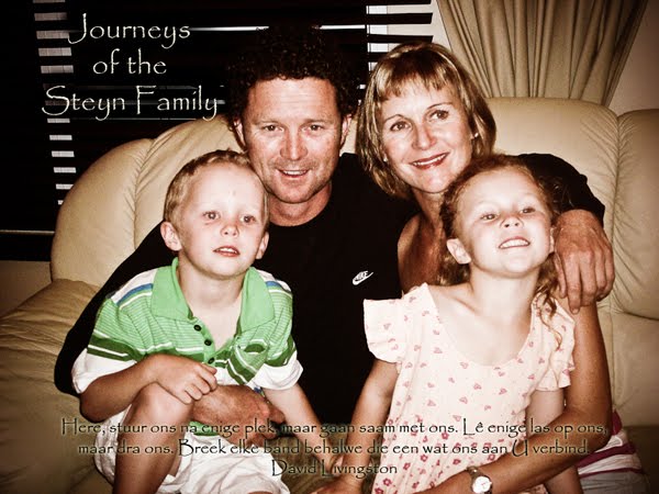 Journeys of the Steyn Family: Donkiekarre!