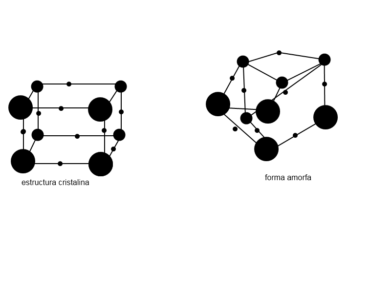 Biología 2º: NIVELES DE ORGANIZACIÓN DE LOS SERES VIVOS.