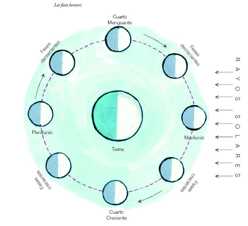 EL CONOCIMIENTO SE COMPARTE: CIENCIAS NATURALES: "Observando la luna ...