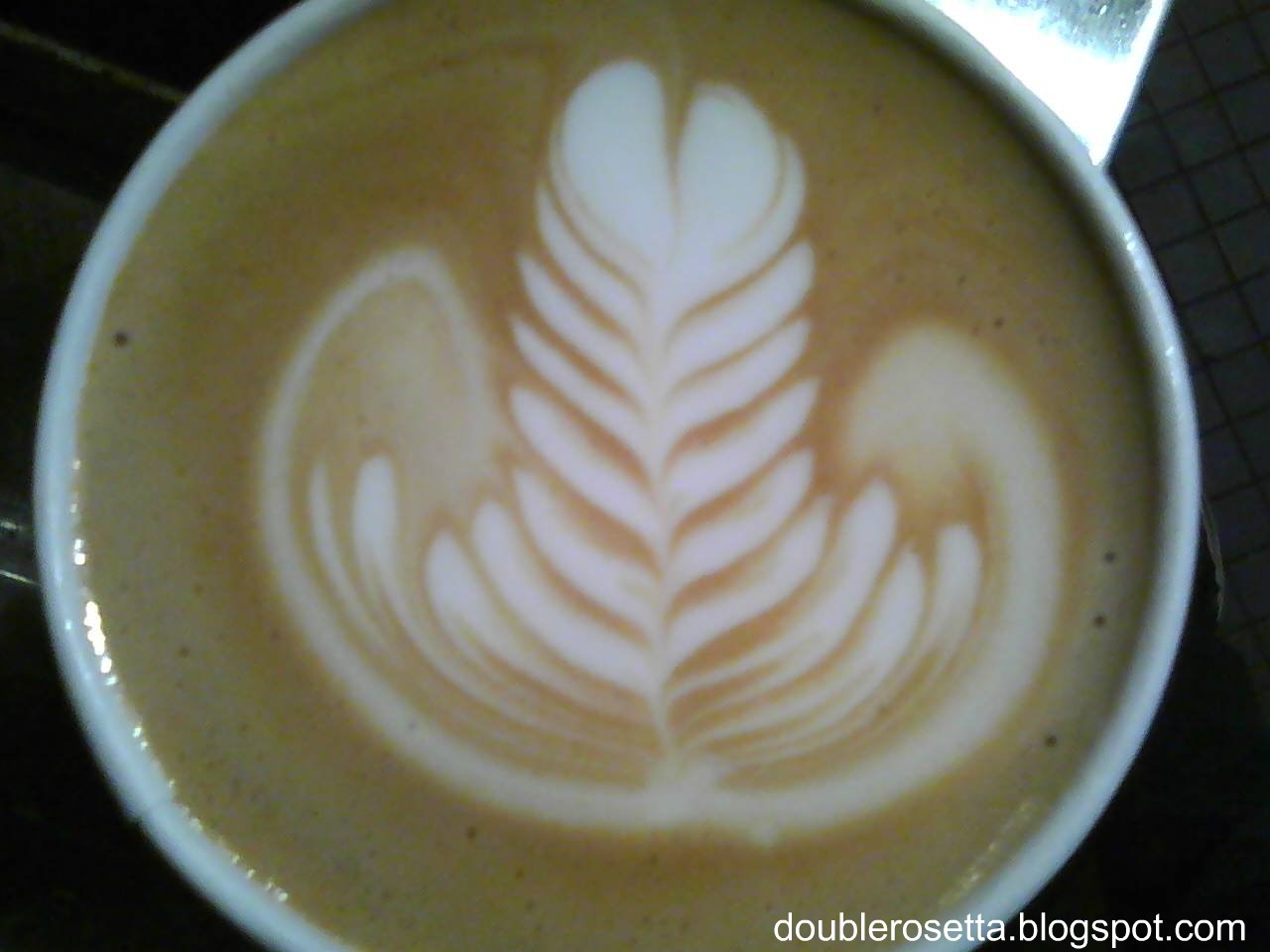 Double Rosetta (A Latte Art Blog): Rosettas and Tulip