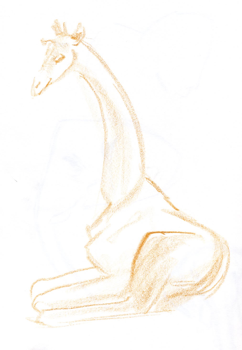 ART is FuN! =^.^=: Oakland Zoo Animal Quick Sketches