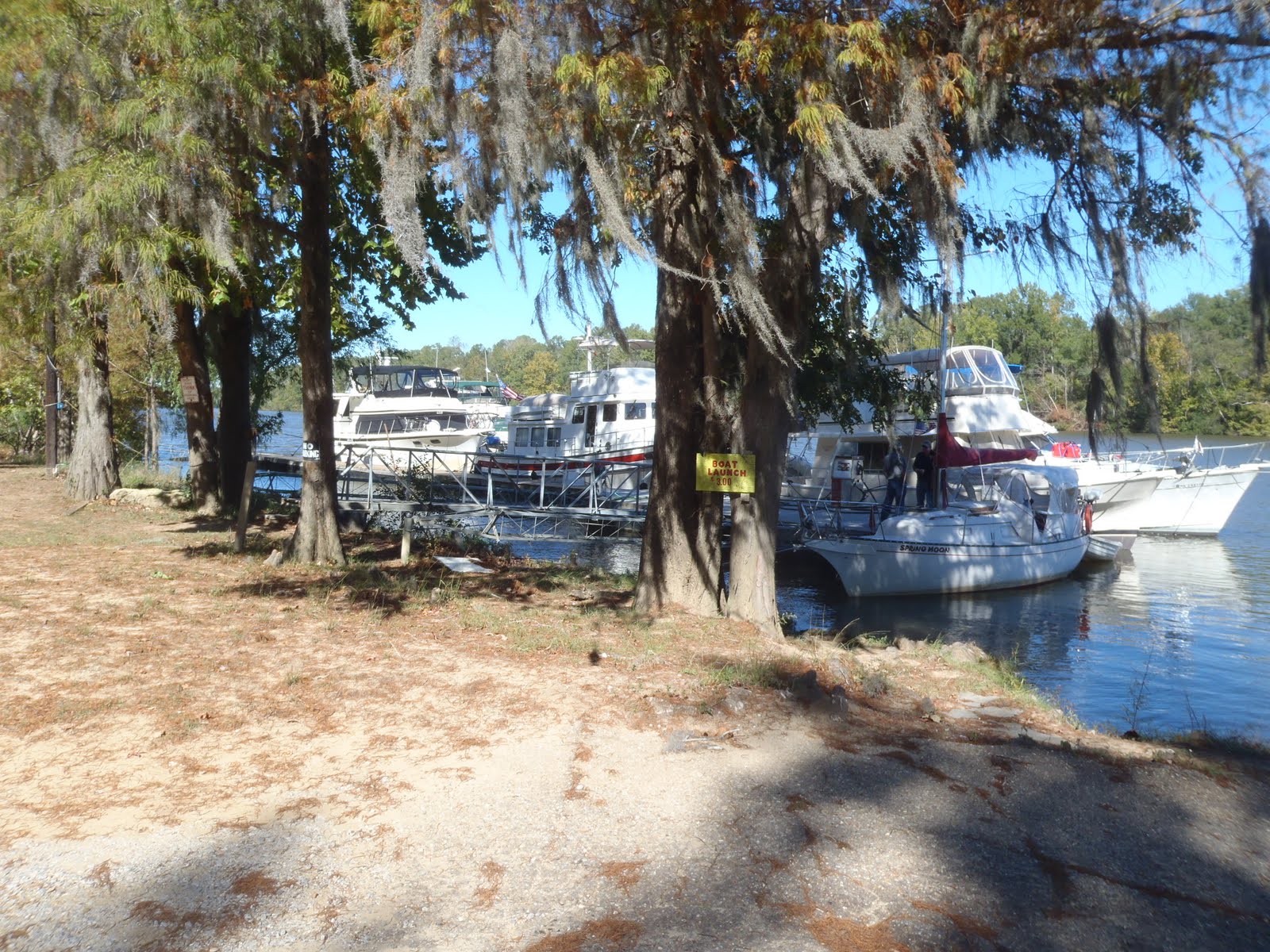 DreamFever: Bobby's Fish Camp AL