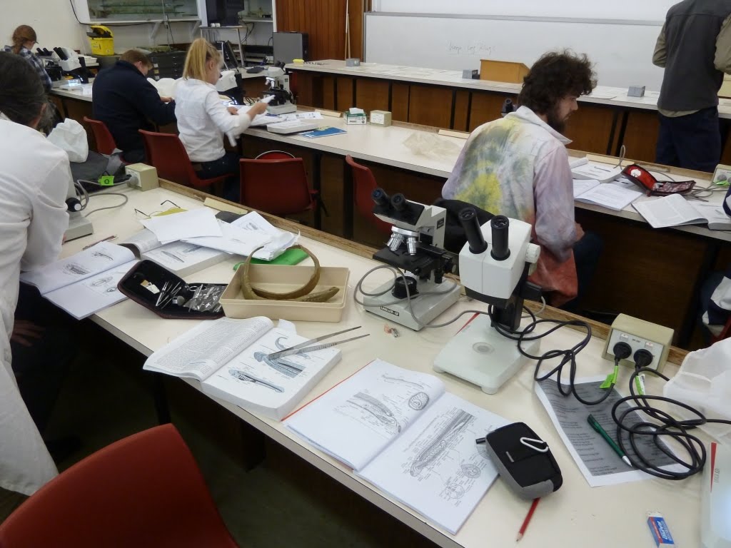 Zoology at UNE: Zoology at UNE Armidale