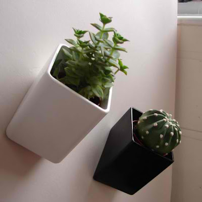 A few of my favorite things: 51: Home Decor: Cool Planters for the Home