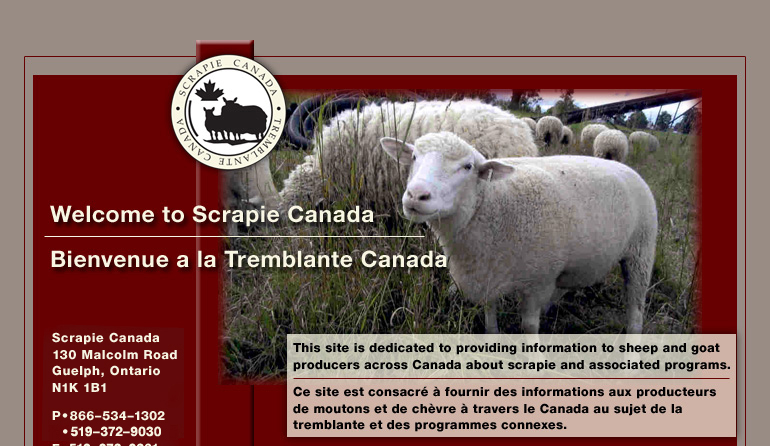 THE FARMER'S STAND: Scrapie quarantine on BC sheep farms lifted - Now What?