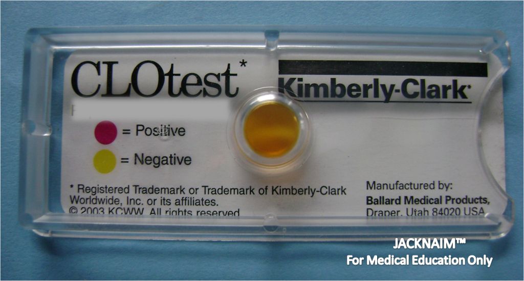 My Medical Notes: OSCE: Professional III practice 1