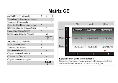 Tec. Marketing - Simulação de Negócios.: Matriz GE