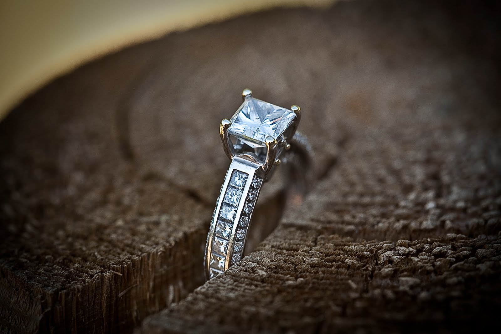 Tara Rowley Photography