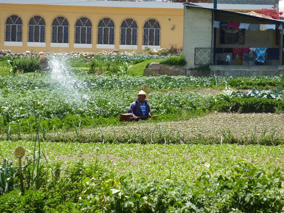 Around and Around: Almolonga, Guatemala...the fruits of their labor, or ...